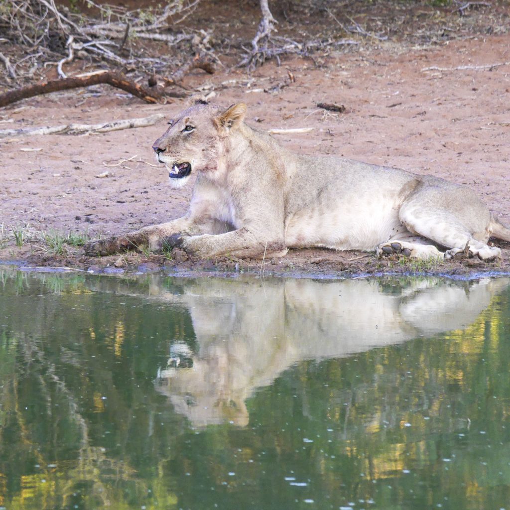 Hayley Cook - Adventure Travel